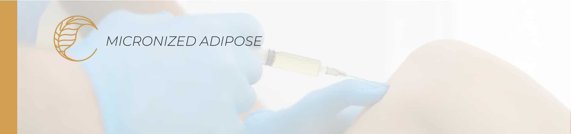 Micronized Adipose Stem Cells | Next MD Link